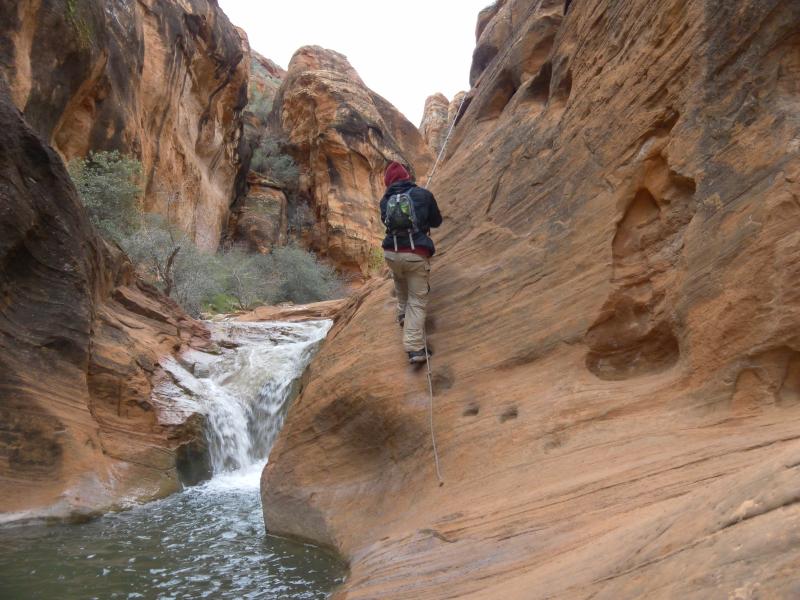 Trip Report Red Cliffs Desert Reserve